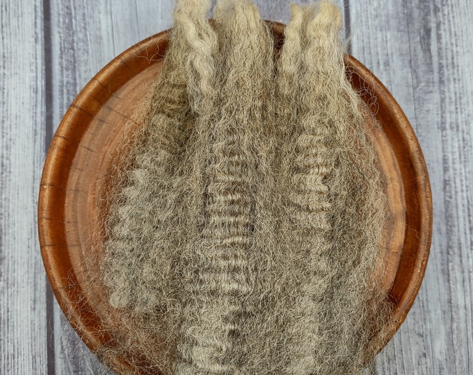 Romney Raw Wool - Texel Cross - Natural Colored - Etsy
