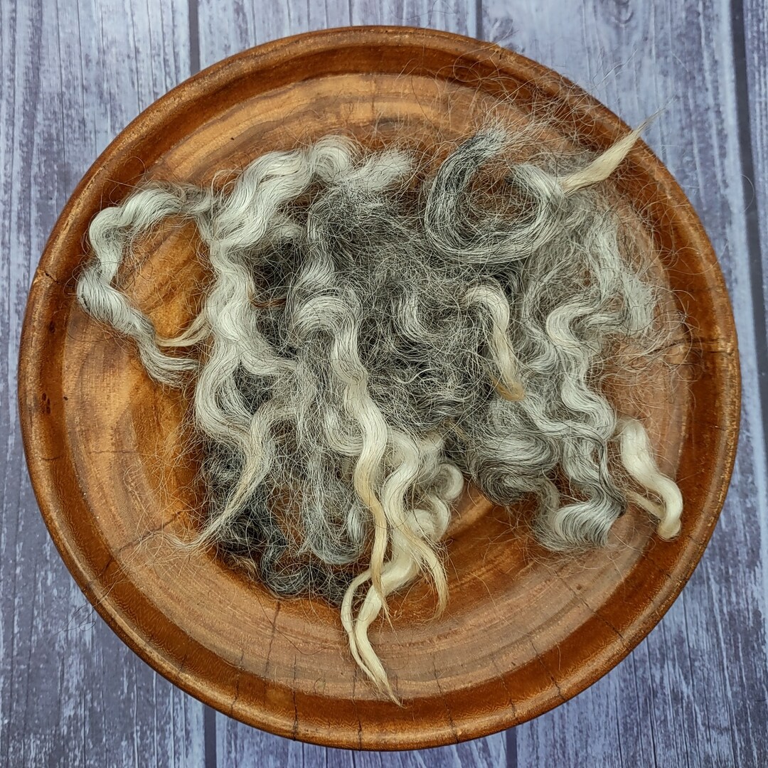 Cotswold Wool Locks Raw or Washed Natural Colored Shave - Etsy