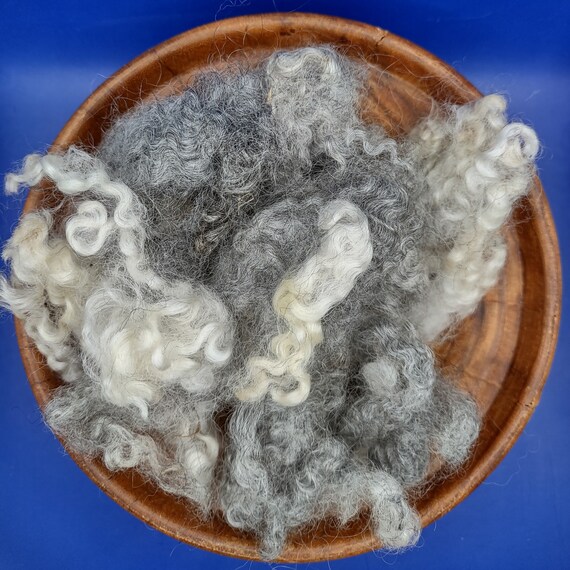 Gotland Wool Locks Washed Silver and White Curls - Etsy