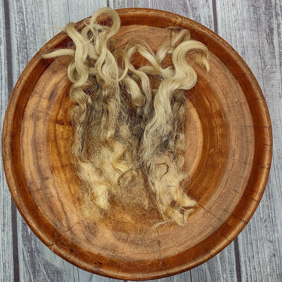 Teeswater Raw Wool White Curly Locks - Etsy
