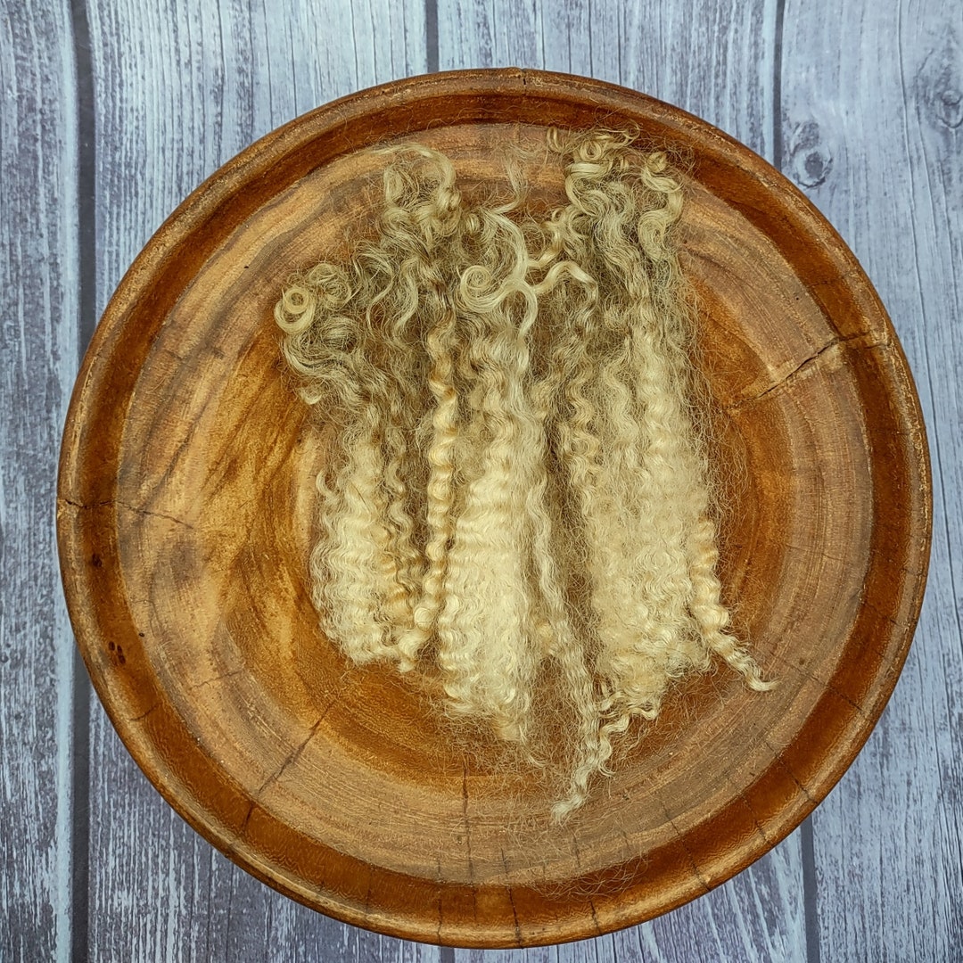 BFL X Gotland Raw Wool White Locks Handspinning Fiber - Etsy