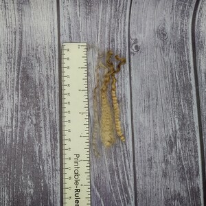 BFL X Gotland Raw Wool White Locks Handspinning Fiber - Etsy