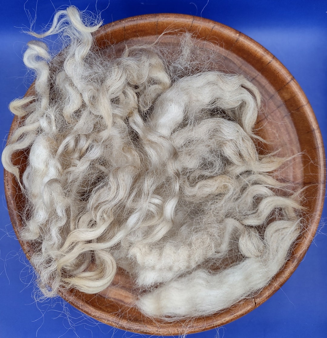 BFL X Gotland Raw Wool White Locks Handspinning Fiber - Etsy