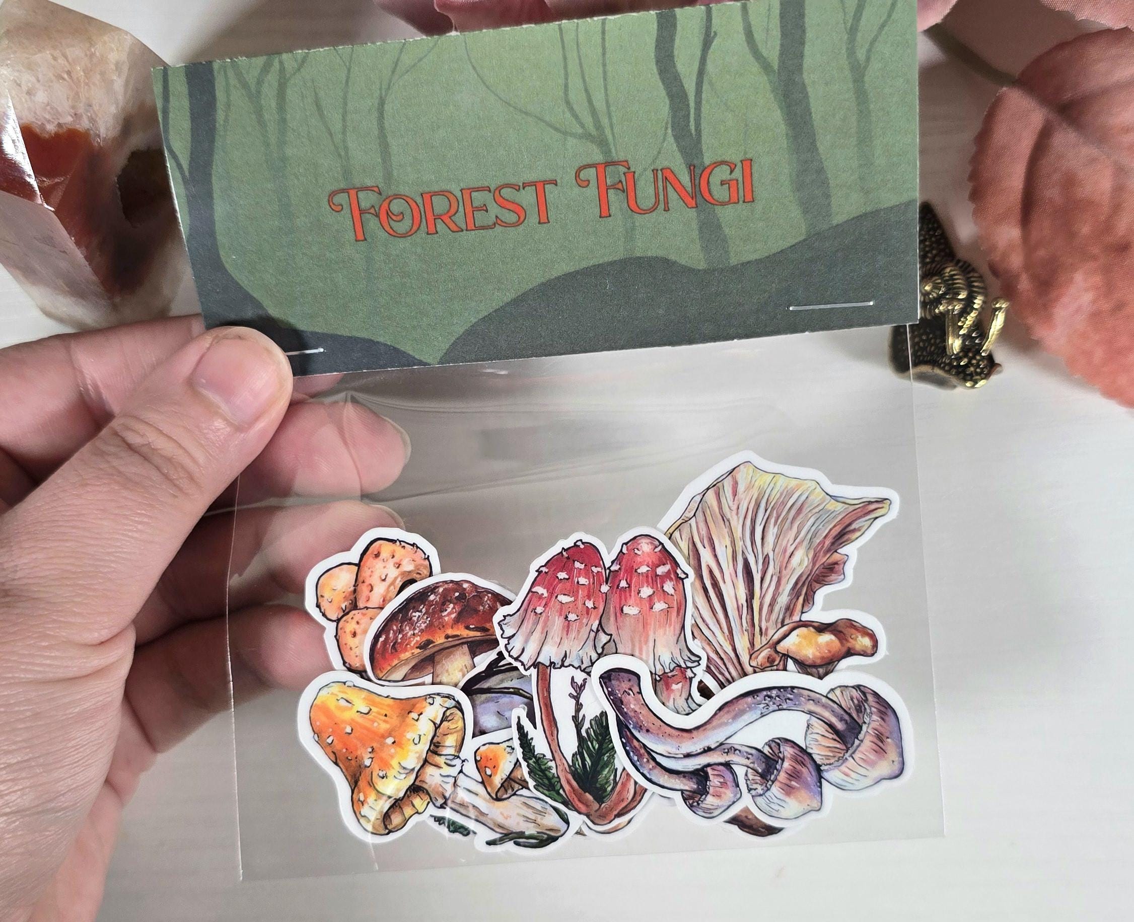 Mushroom Sticker Pack, Nature Inspired Stickers, Cottagecore, Die-cut ...