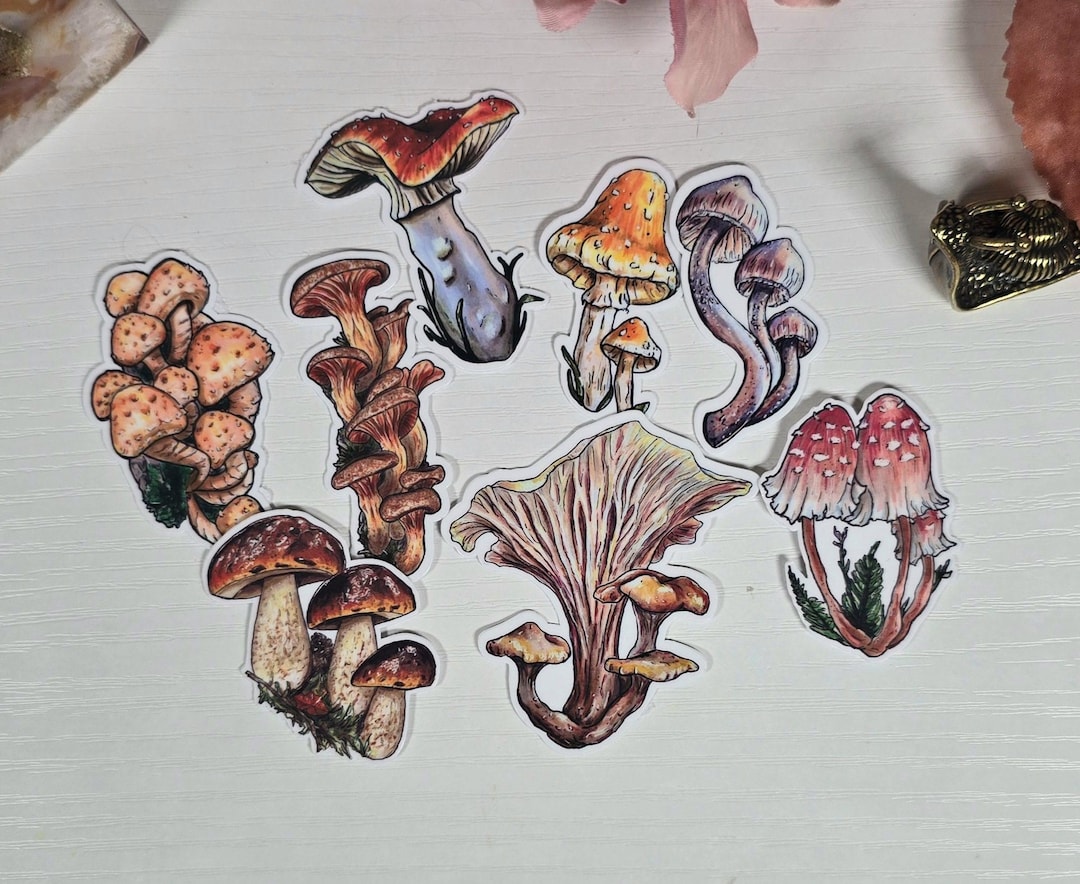 Mushroom Sticker Pack, Nature Inspired Stickers, Cottagecore, Die-cut ...