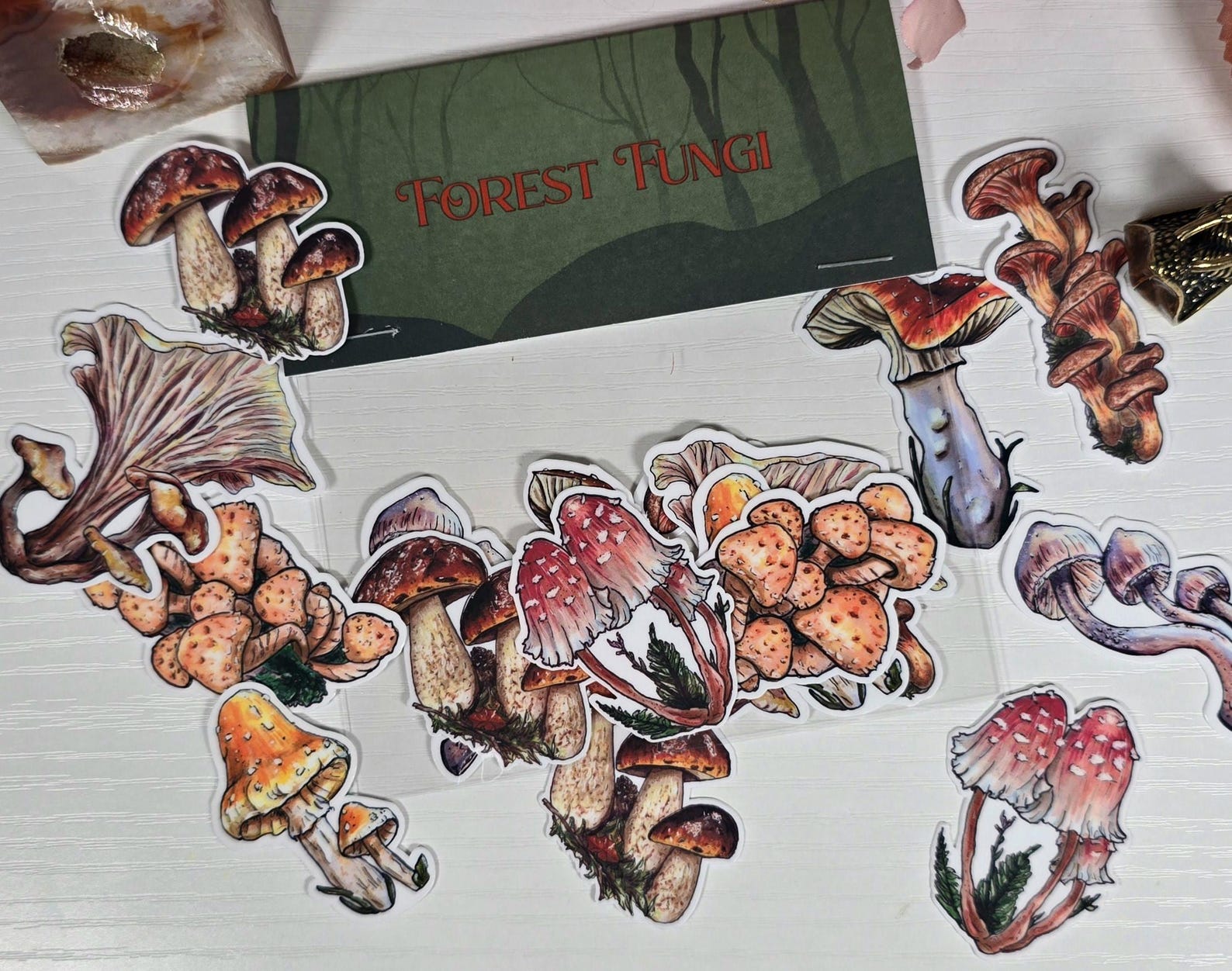 Mushroom Sticker Pack, Nature Inspired Stickers, Cottagecore, Die-cut ...