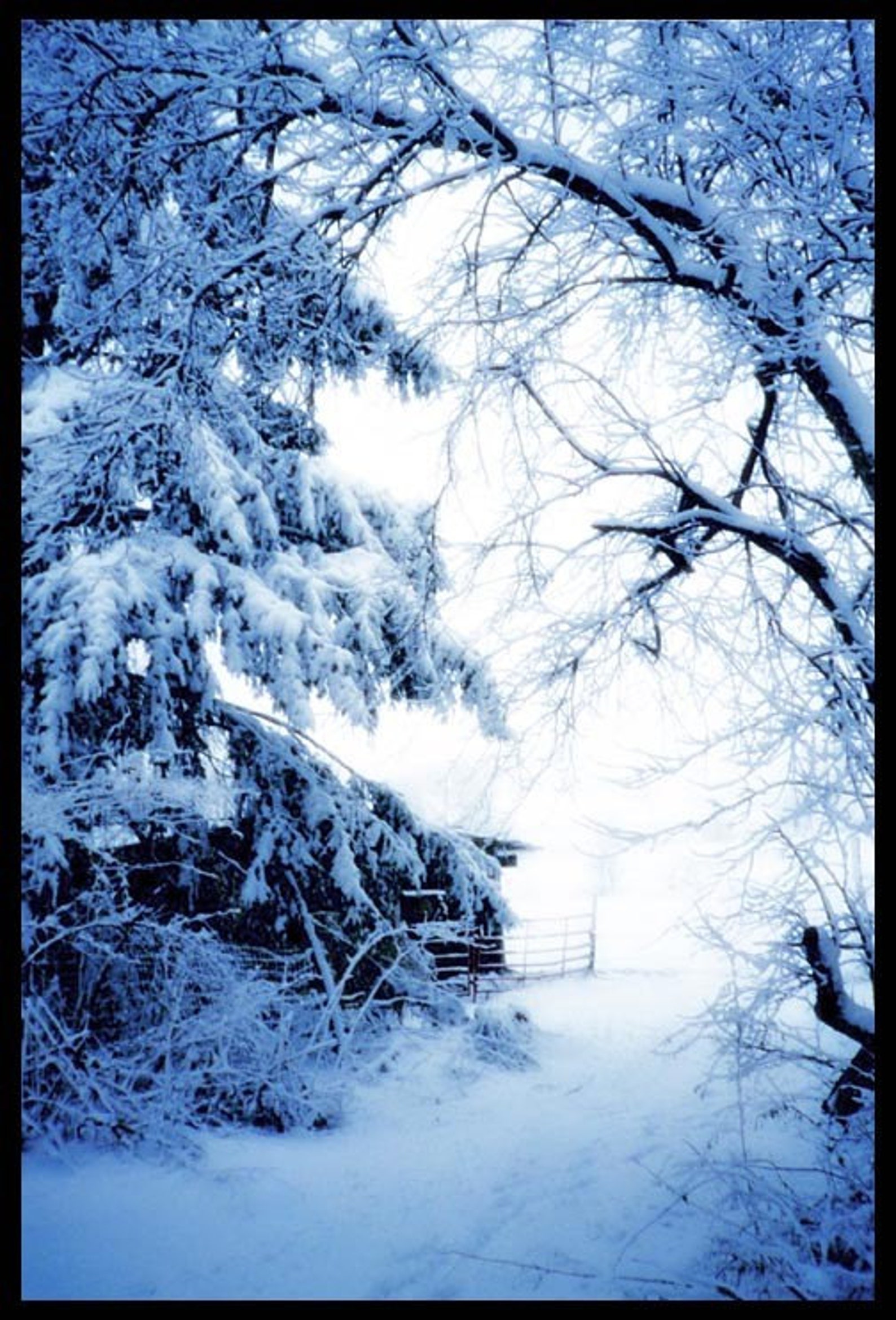 Blue Winter - Print - Etsy