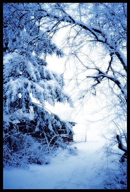 Blue Winter - Print - Etsy