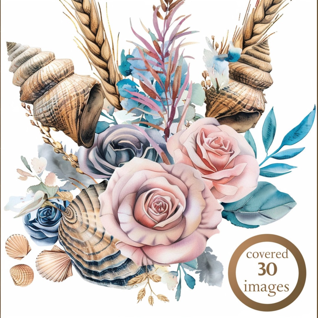 100 Floral Seashell Clipart Design Bundle/ Bundle and Save - Etsy