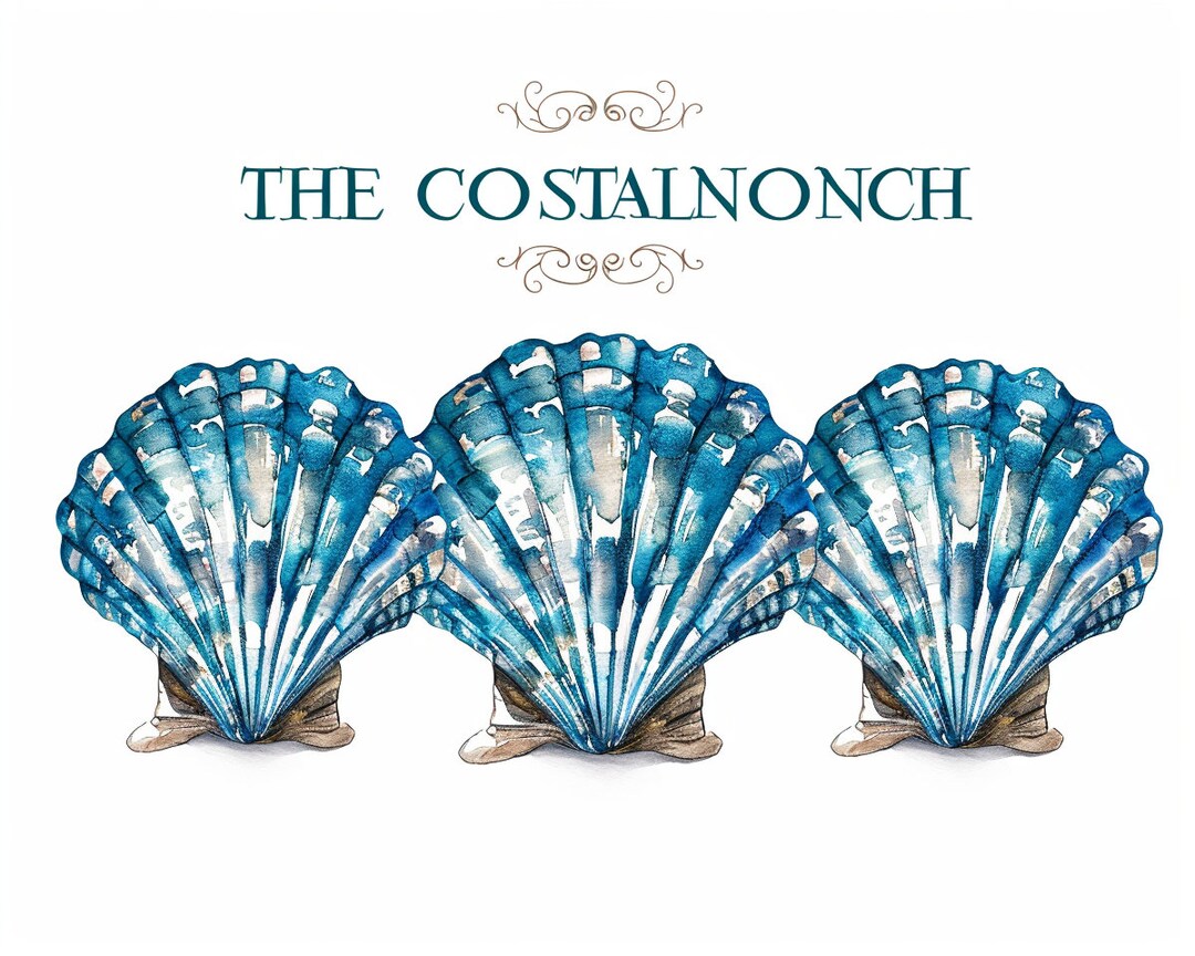 Nautical Watercolor Shell Clipart- 20 Transparent Background PNG ...