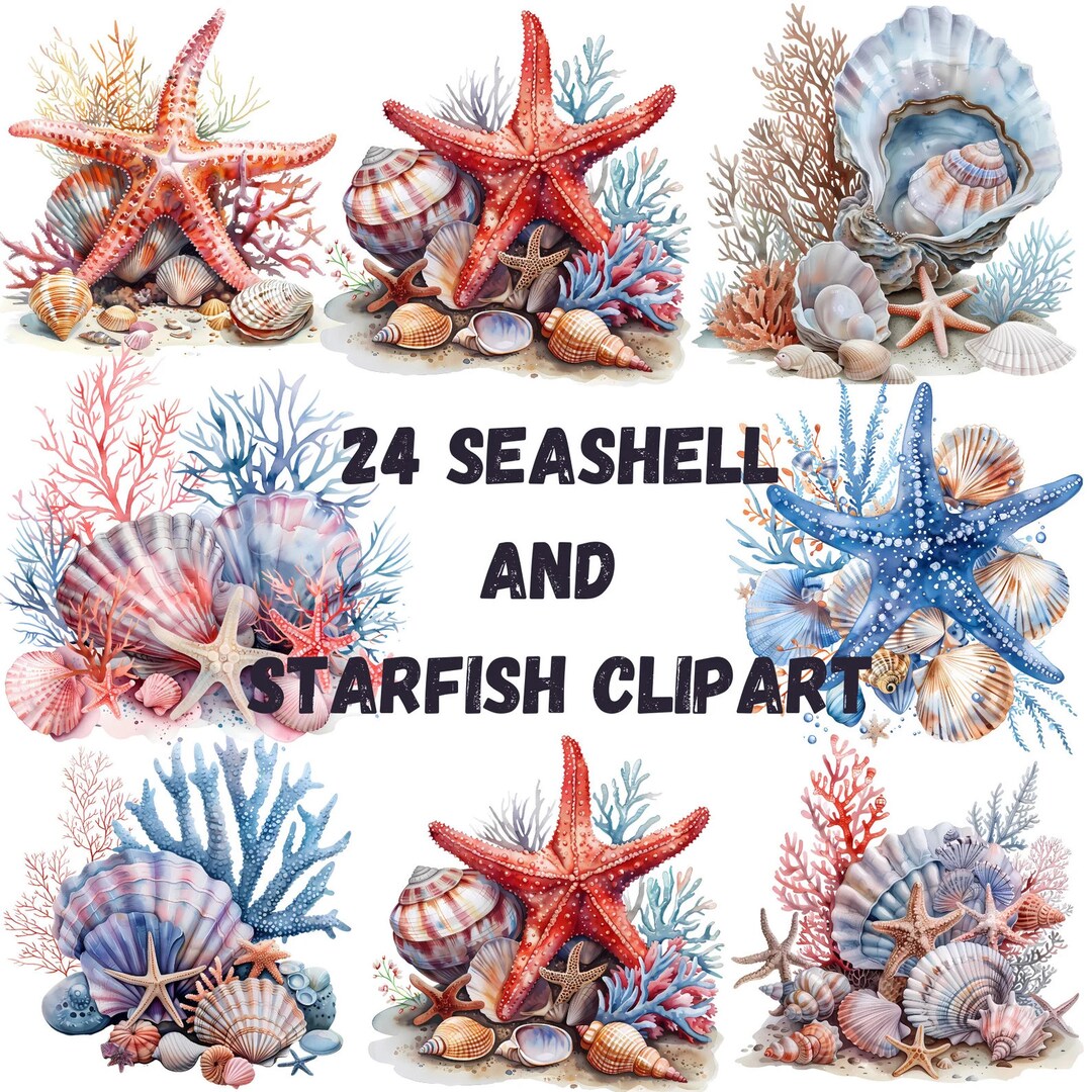 24 Watercolor Seashells Clipart, Summer Clipart, Printable Watercolor ...