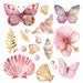 100 Butterfly and Seashell Clipart Designs Bundle - Ocean Elements ...