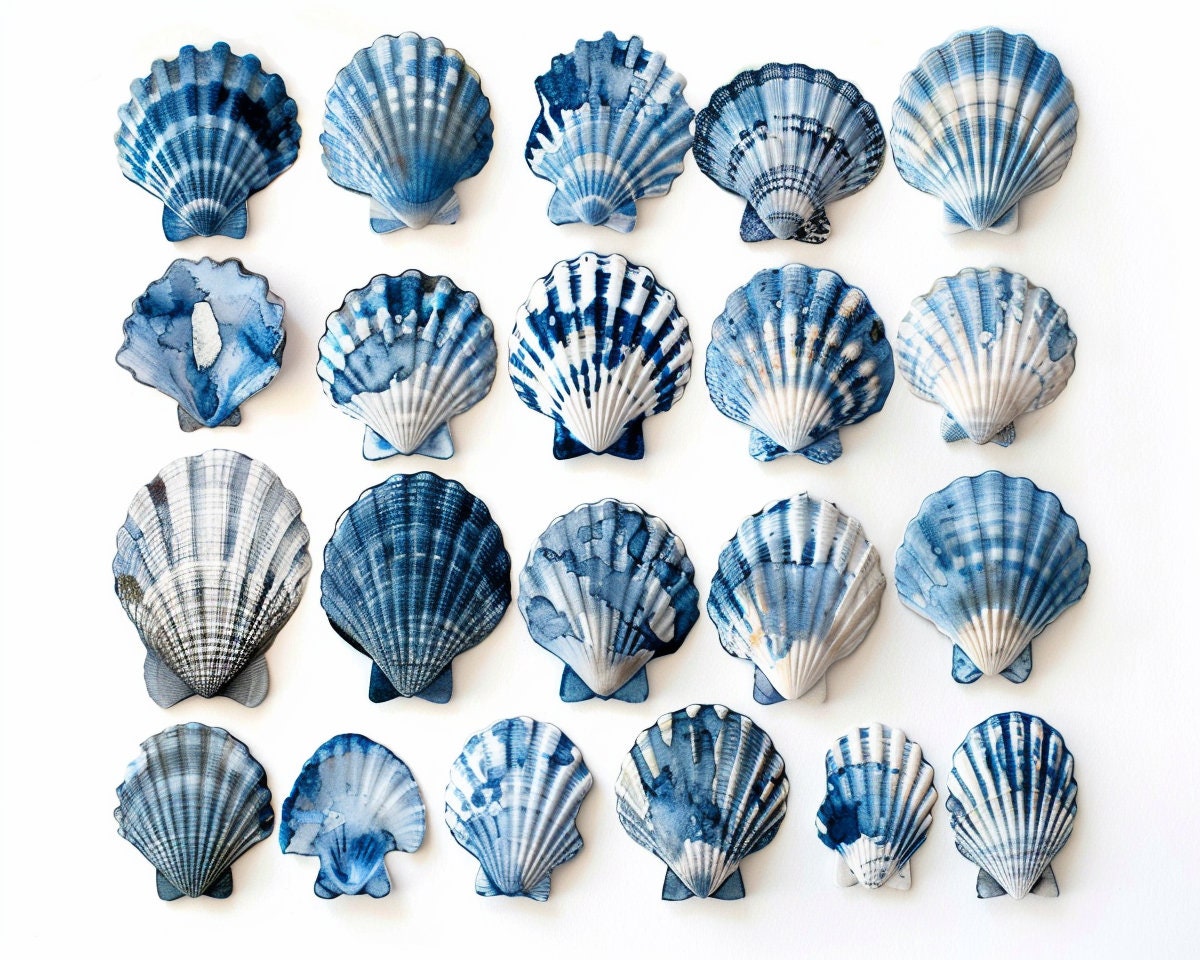 Nautical Watercolor Shell Clipart- 20 Transparent Background PNG ...