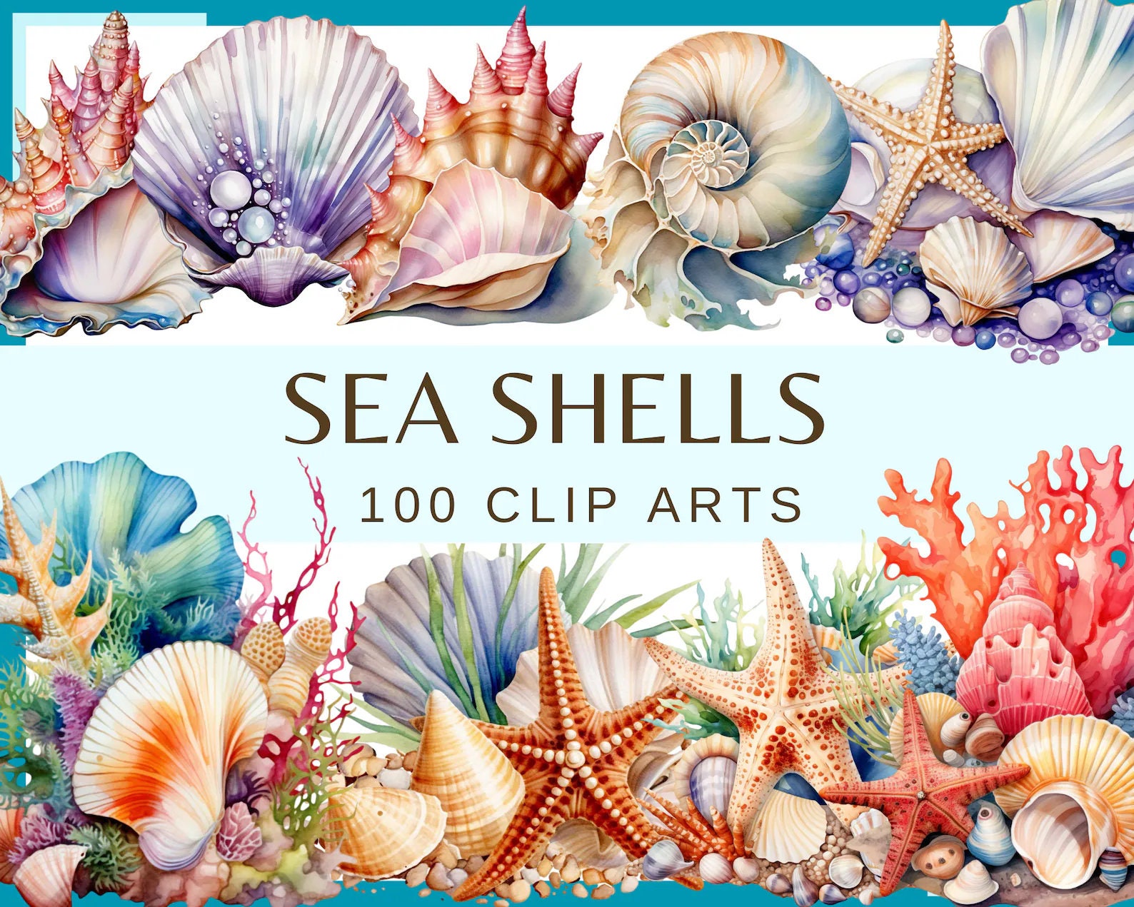 SEA SHELLS - 100 Clip Arts (300 Dpi, Sea Anemone, Sea Horse, Bundle ...