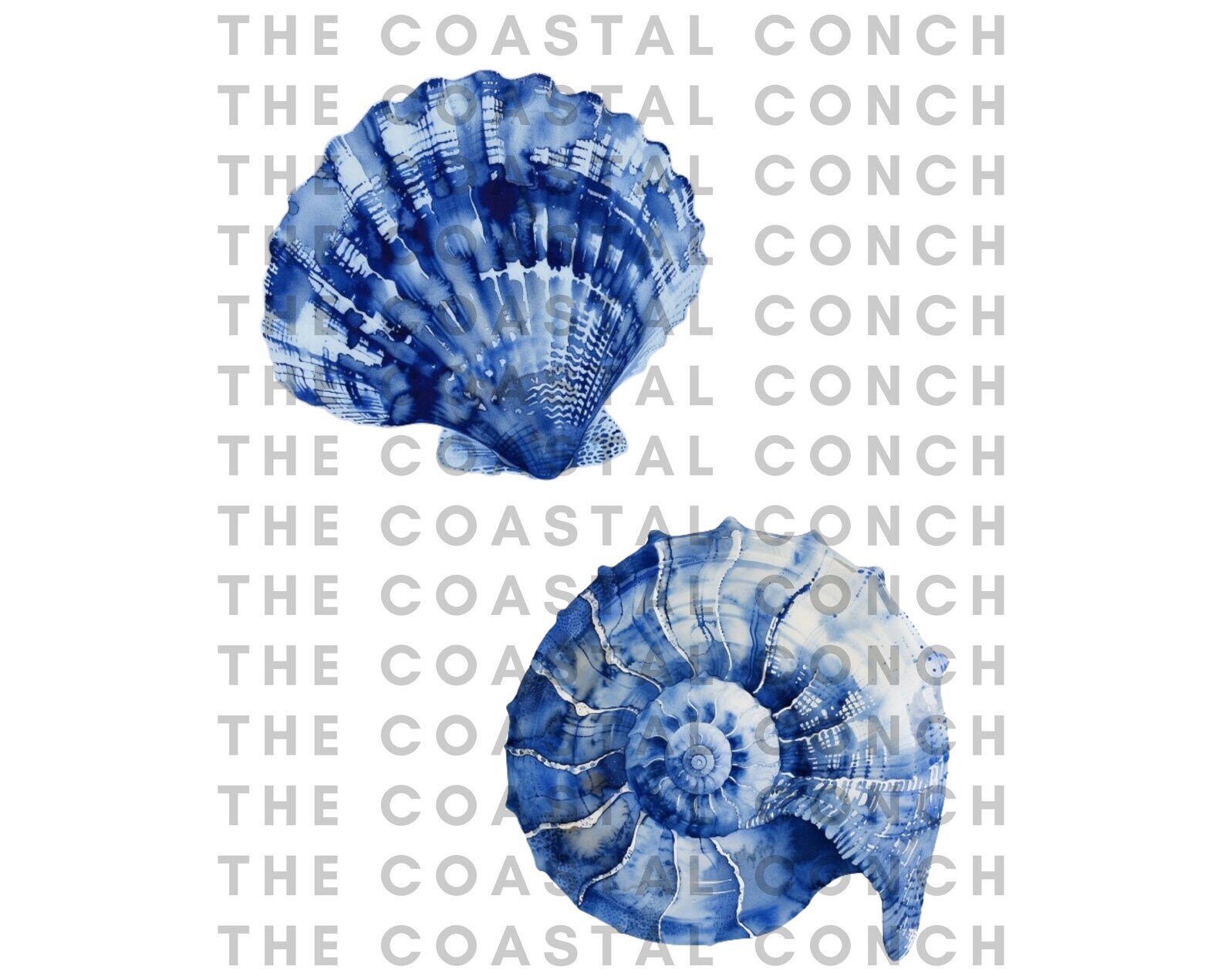 Nautical Watercolor Shell Clipart- 20 Transparent Background PNG ...