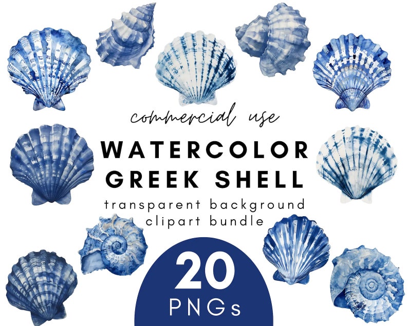 Nautical Watercolor Shell Clipart- 20 Transparent Background PNG ...