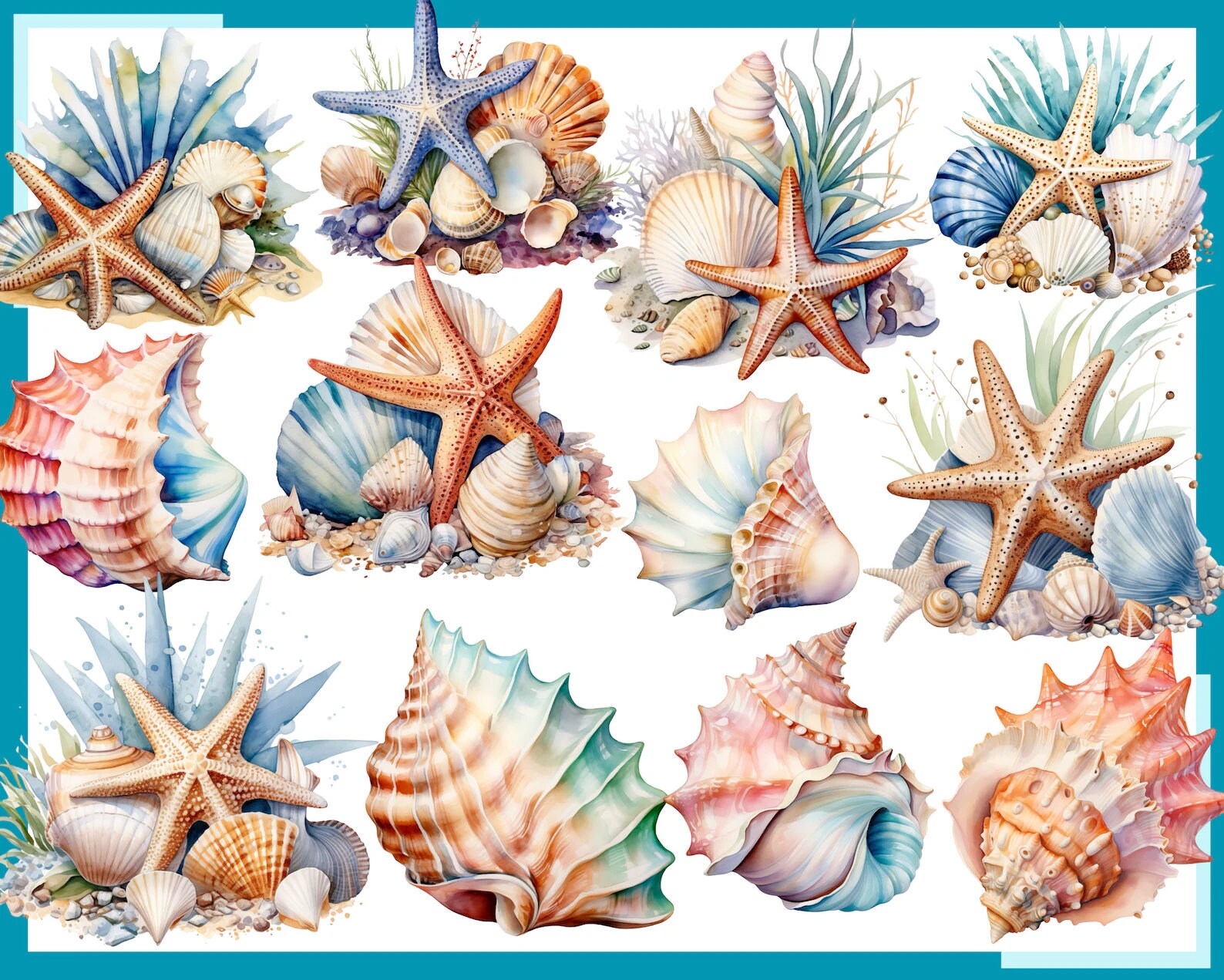 SEA SHELLS - 100 Clip Arts (300 Dpi, Sea Anemone, Sea Horse, Bundle ...