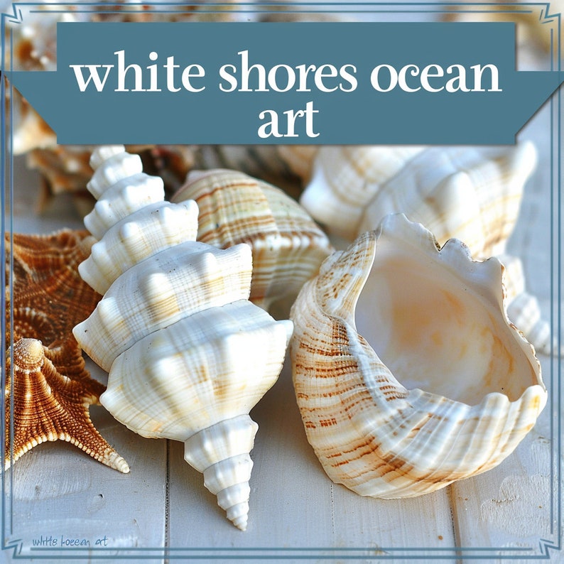 Mystical Ocean Elements and Magical Marine Clipart - Etsy