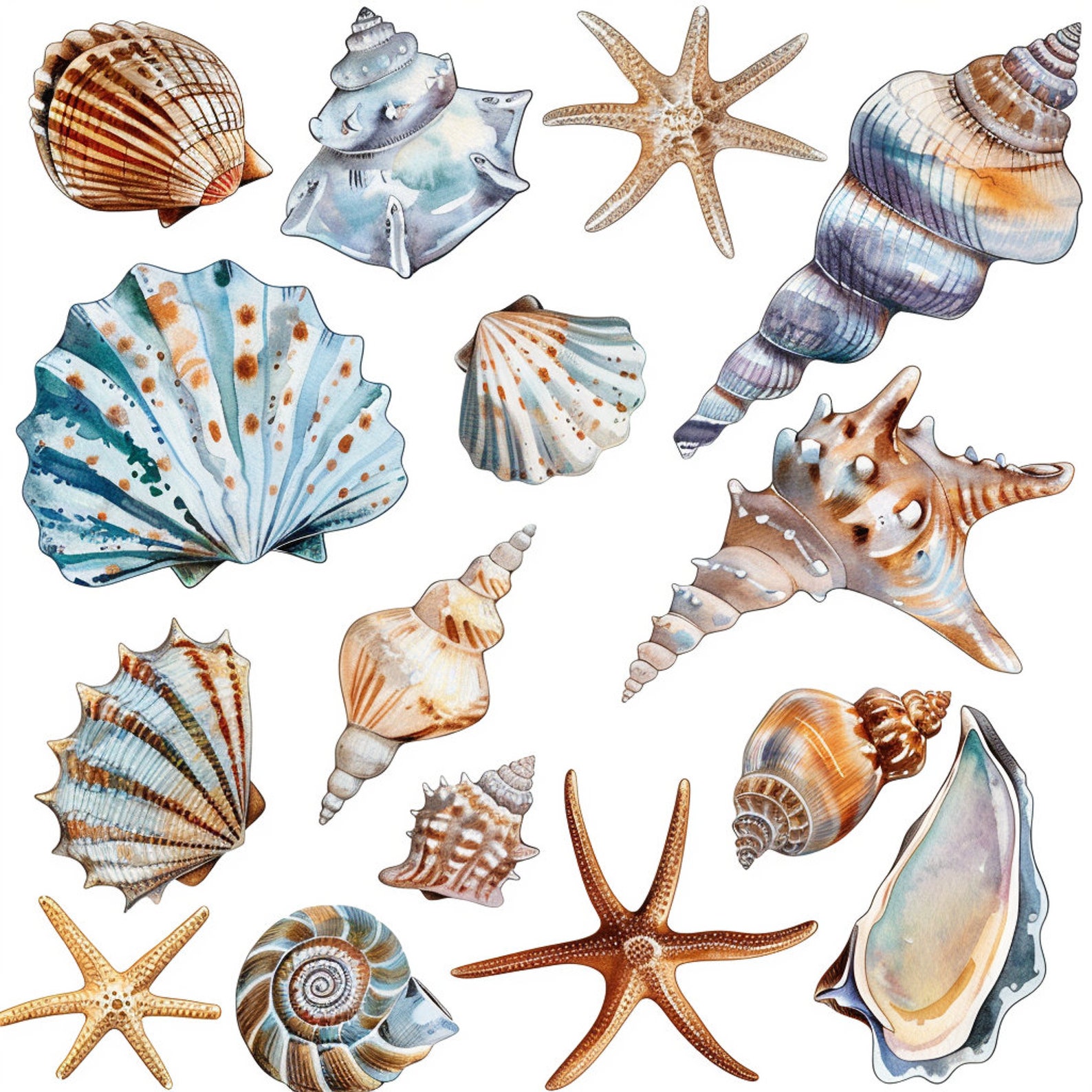 Watercolor Seashell Clipart Bundle - 100 High-quality Vintage Designs ...