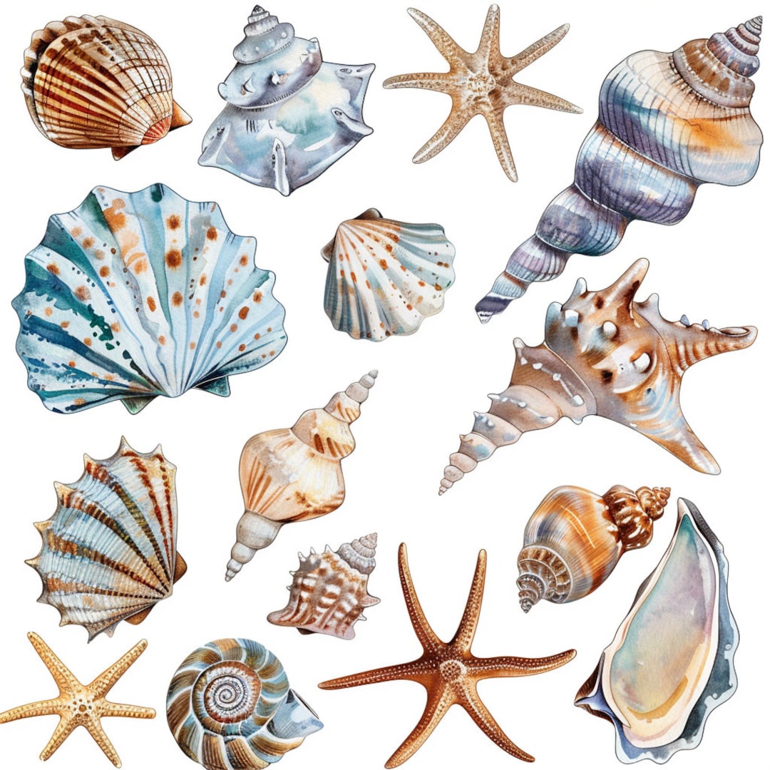 Watercolor Seashell Clipart Bundle - 100 High-quality Vintage Designs ...