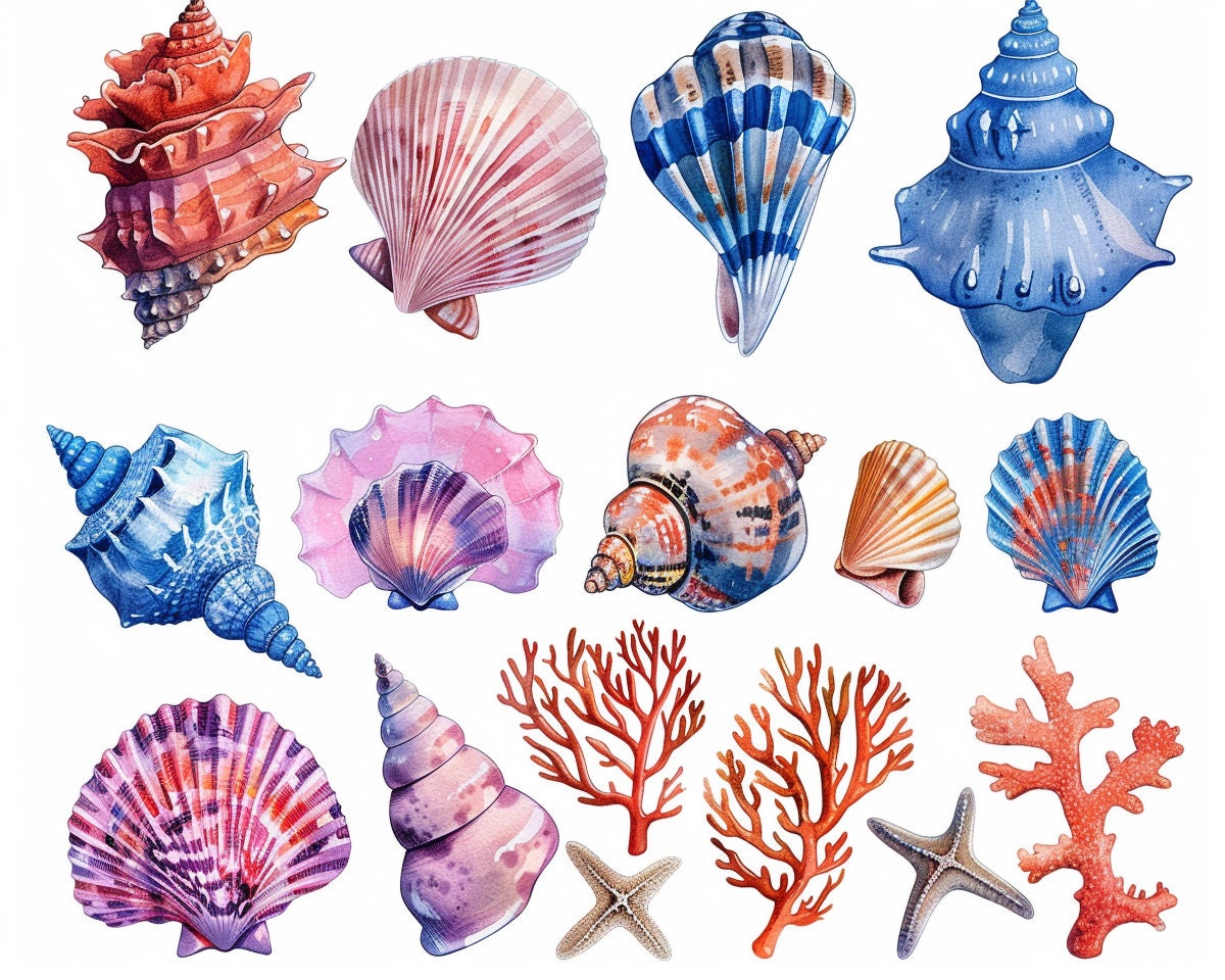 SEA SHELLS - 20 Clip Arts (400 Dpi, Sea Anemone, Sea Horse, Bundle ...