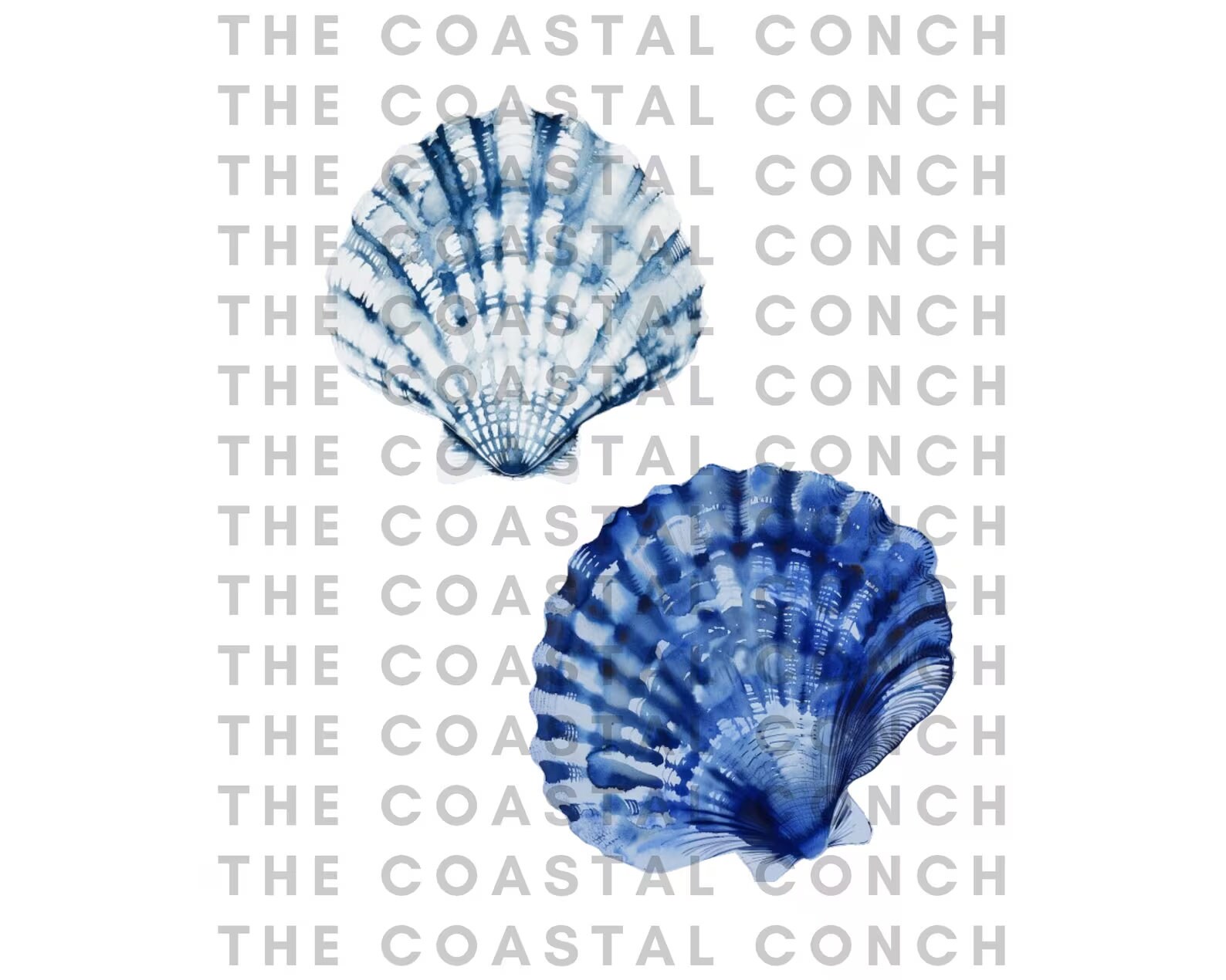 Nautical Watercolor Shell Clipart- 20 Transparent Background PNG ...