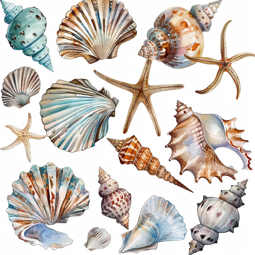 Watercolor Seashell Clipart Bundle - 100 High-quality Vintage Designs ...
