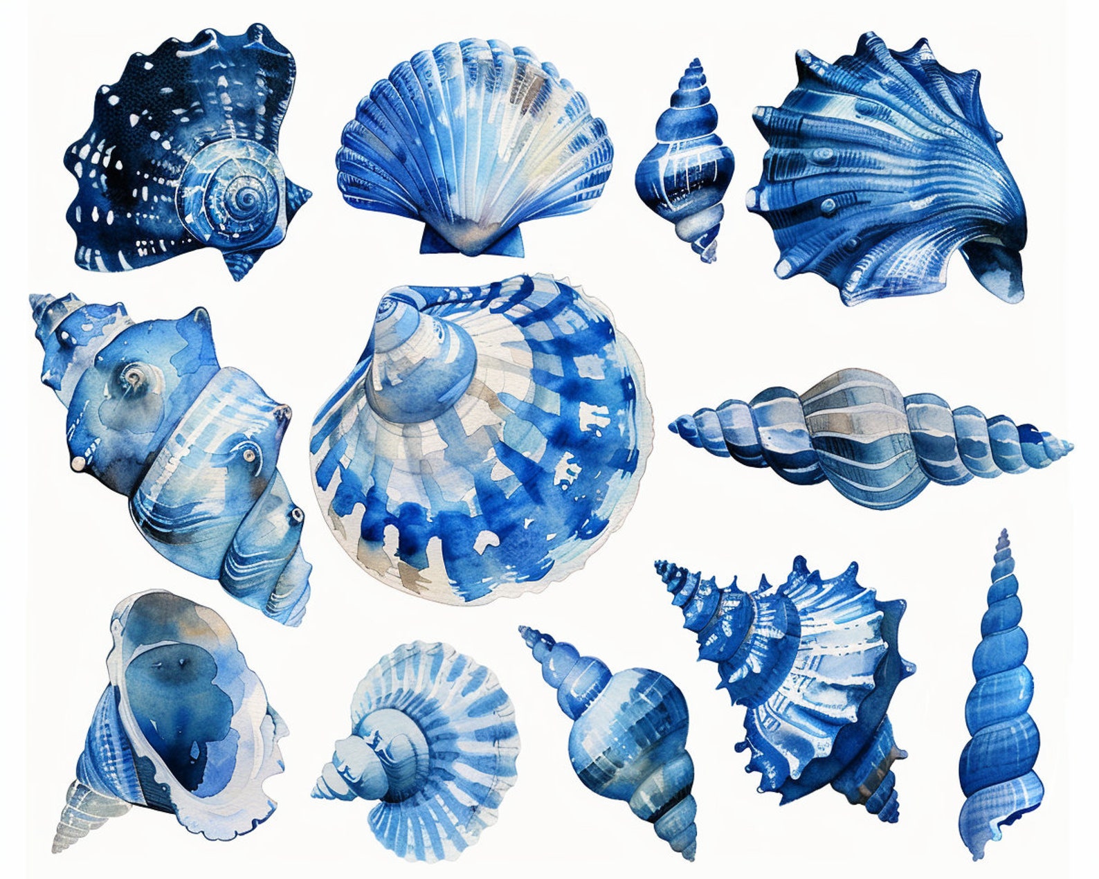 Nautical Watercolor Shell Clipart- 20 Transparent Background PNG ...
