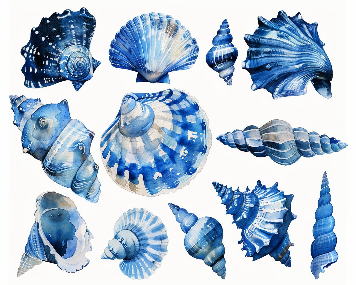 Nautical Watercolor Shell Clipart- 20 Transparent Background PNG ...