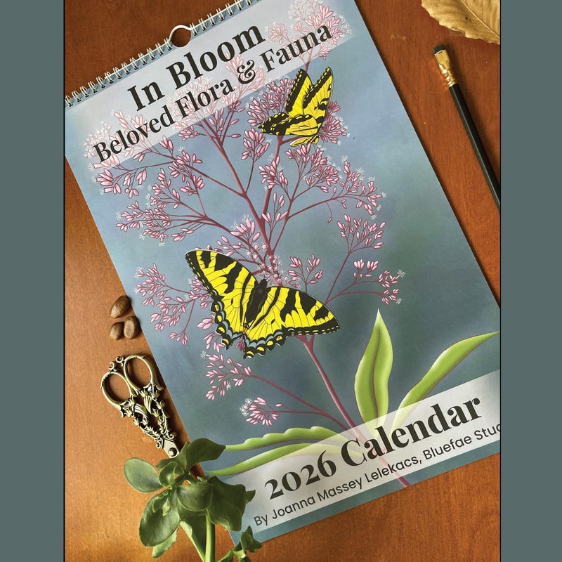 2026 Tiger Calendars - Etsy