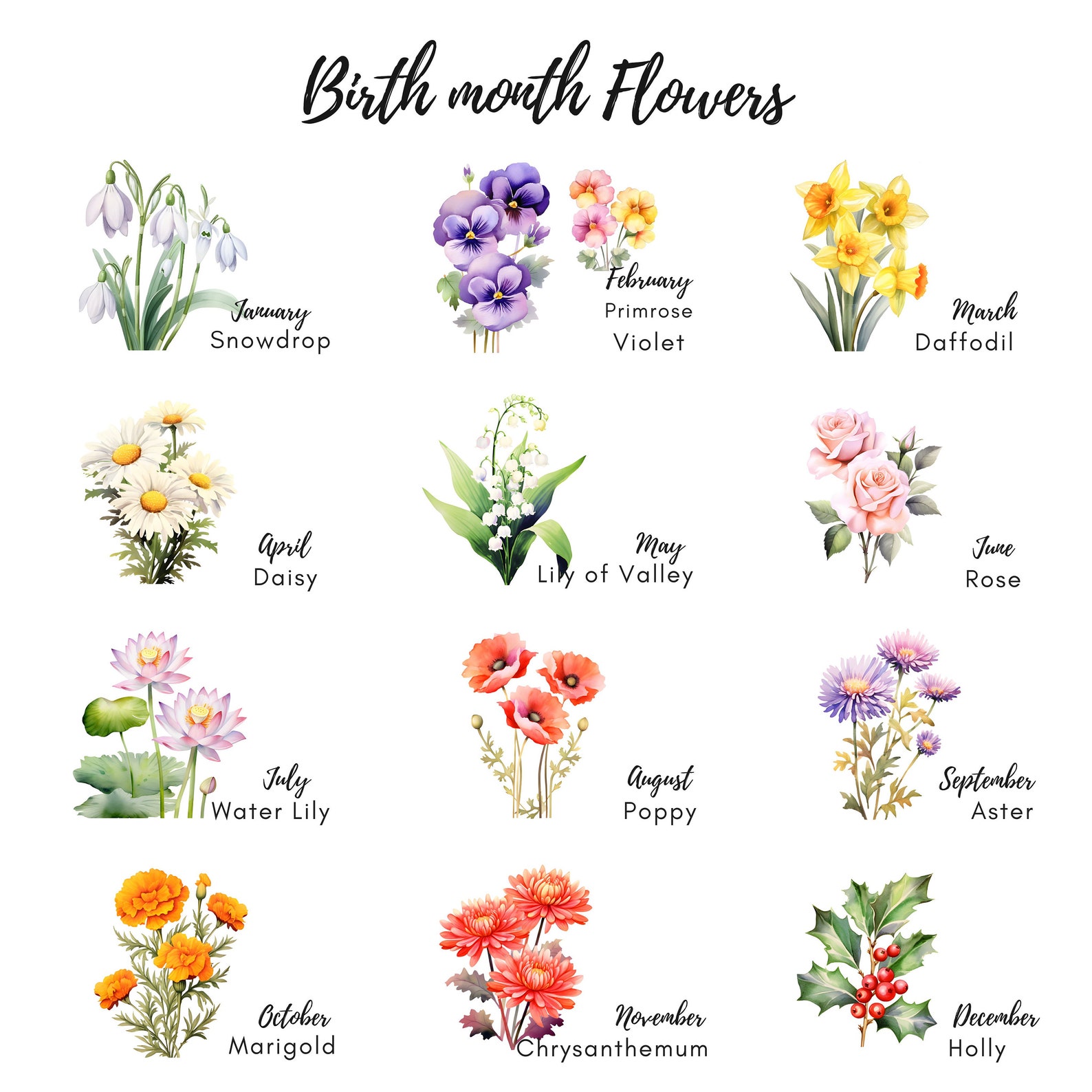 Birth Month Flower Digital Print, Birth Flowers Clipart, Personalized ...