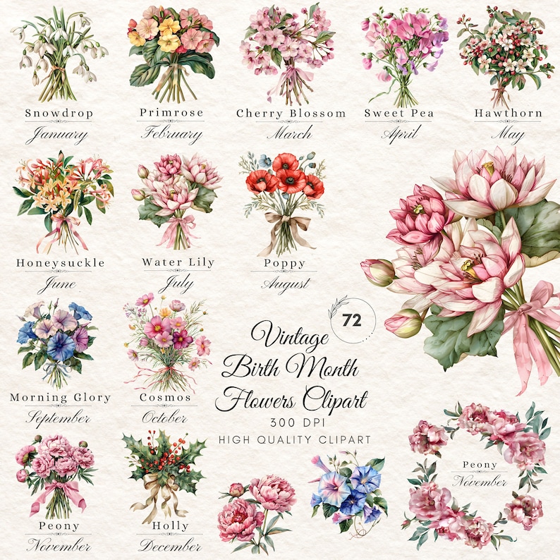 Birth Month Flower Clipart, Vintage Birth Flowers PNG, Antique Floral ...