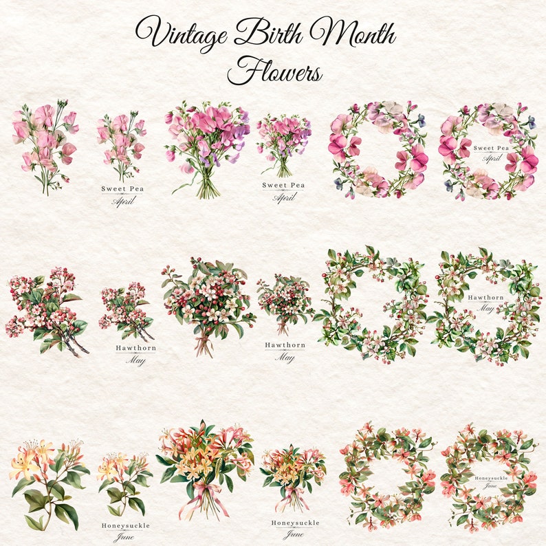 Birth Month Flower Clipart, Vintage Birth Flowers PNG, Antique Floral ...