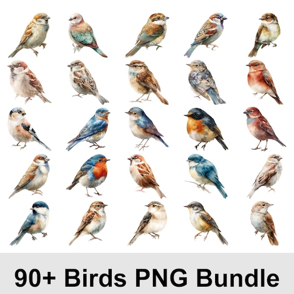Clip Art British Birds - Etsy UK