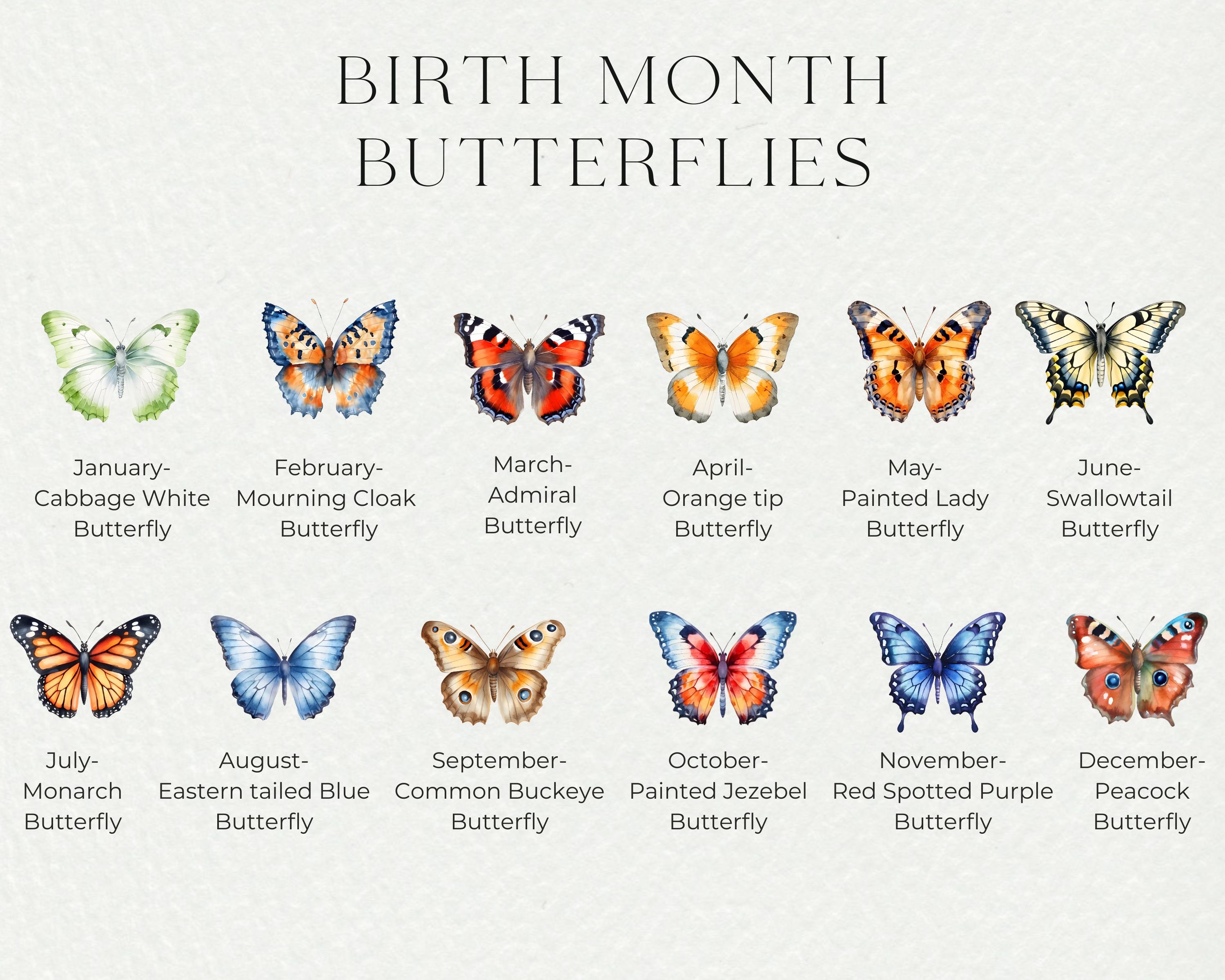 Birth Month Flower Clipart, Birth Flower Butterfly Clipart, Floral ...