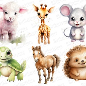 Watercolor Cute Animals Clipart | Baby Animal Bundle for Crafts ...