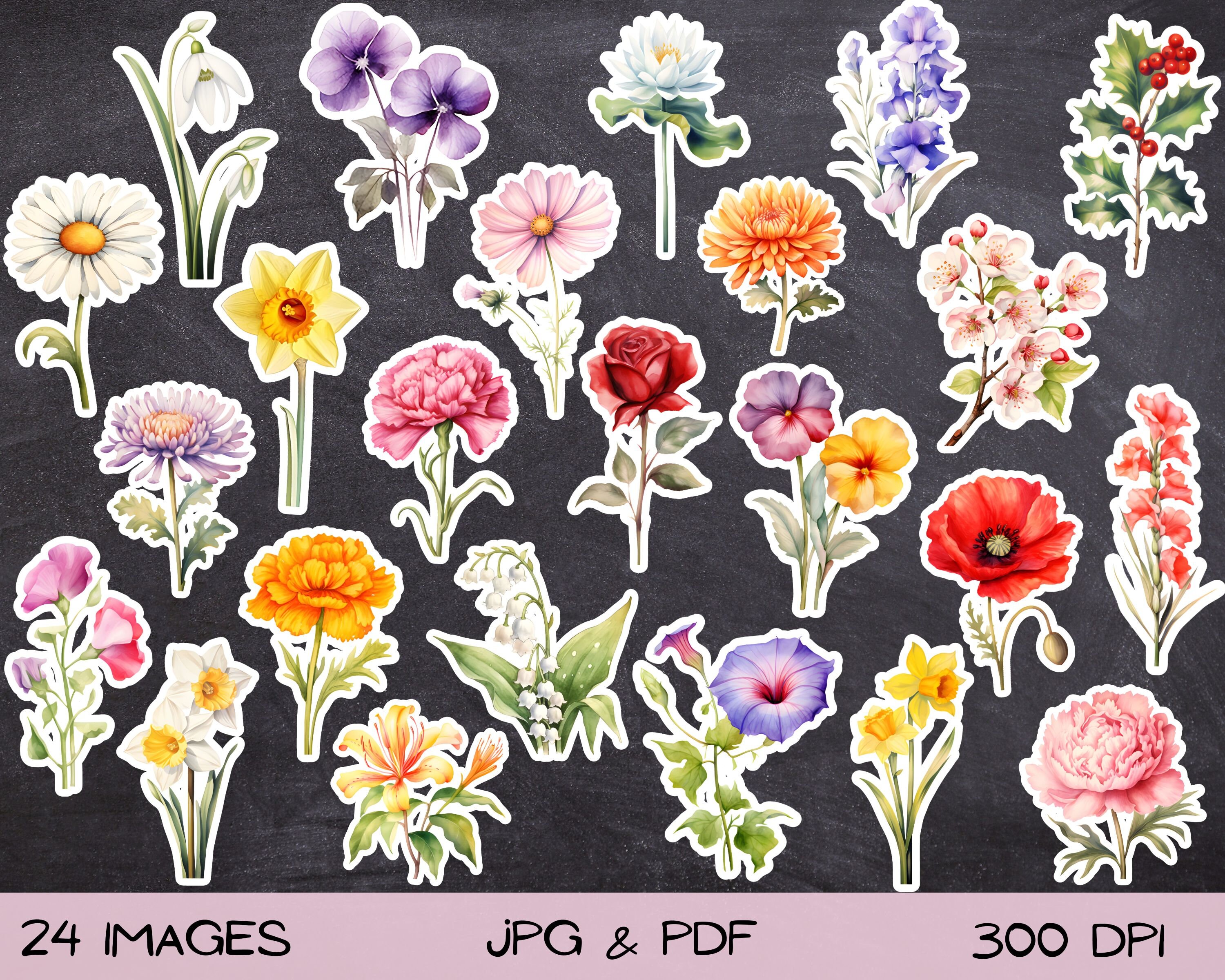 Birth Month Flower Printable Stickers, Birth Flower PNG, Antique Floral ...