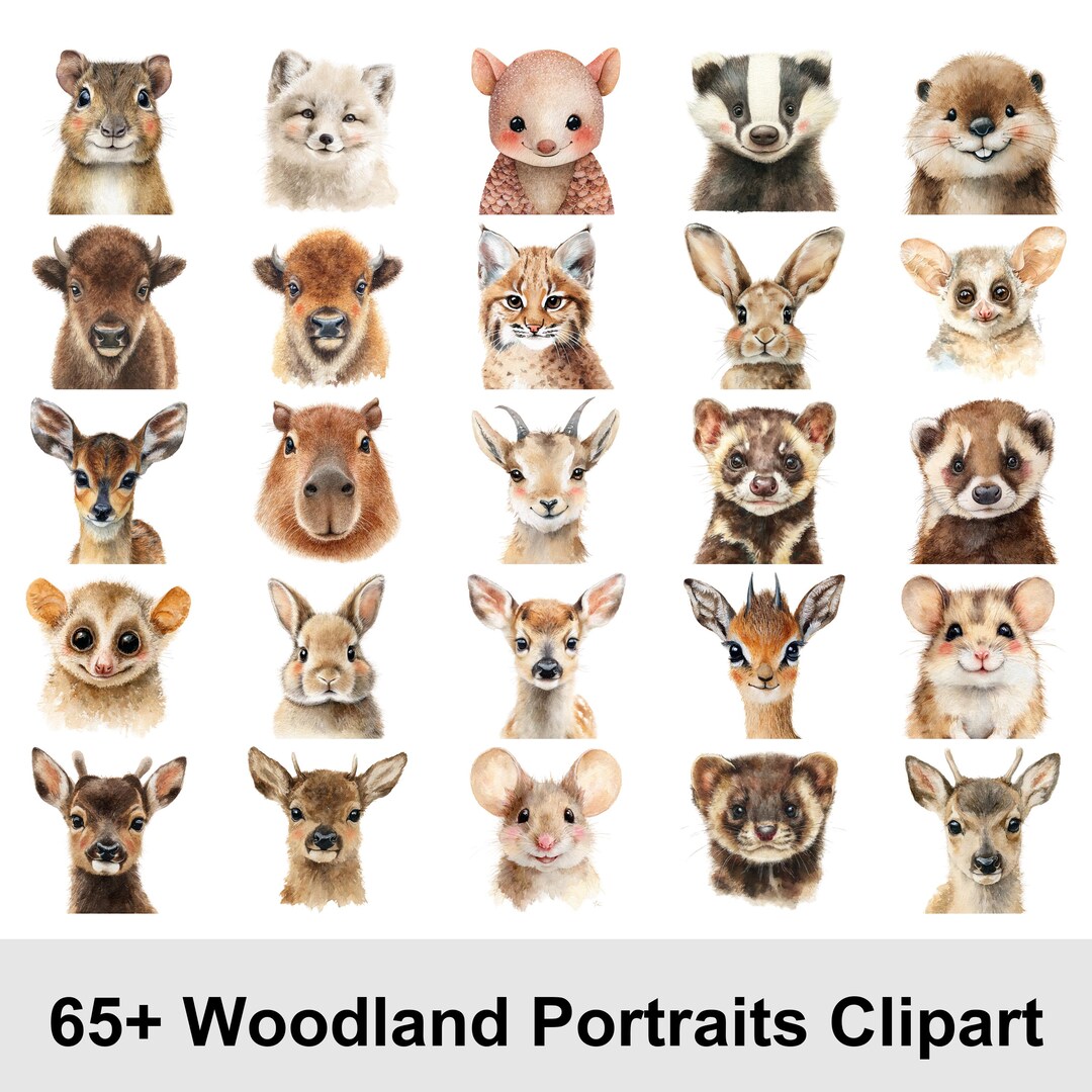 Woodland Animal Clipart Bundle | 65 Cute Forest Animal Portraits PNG ...