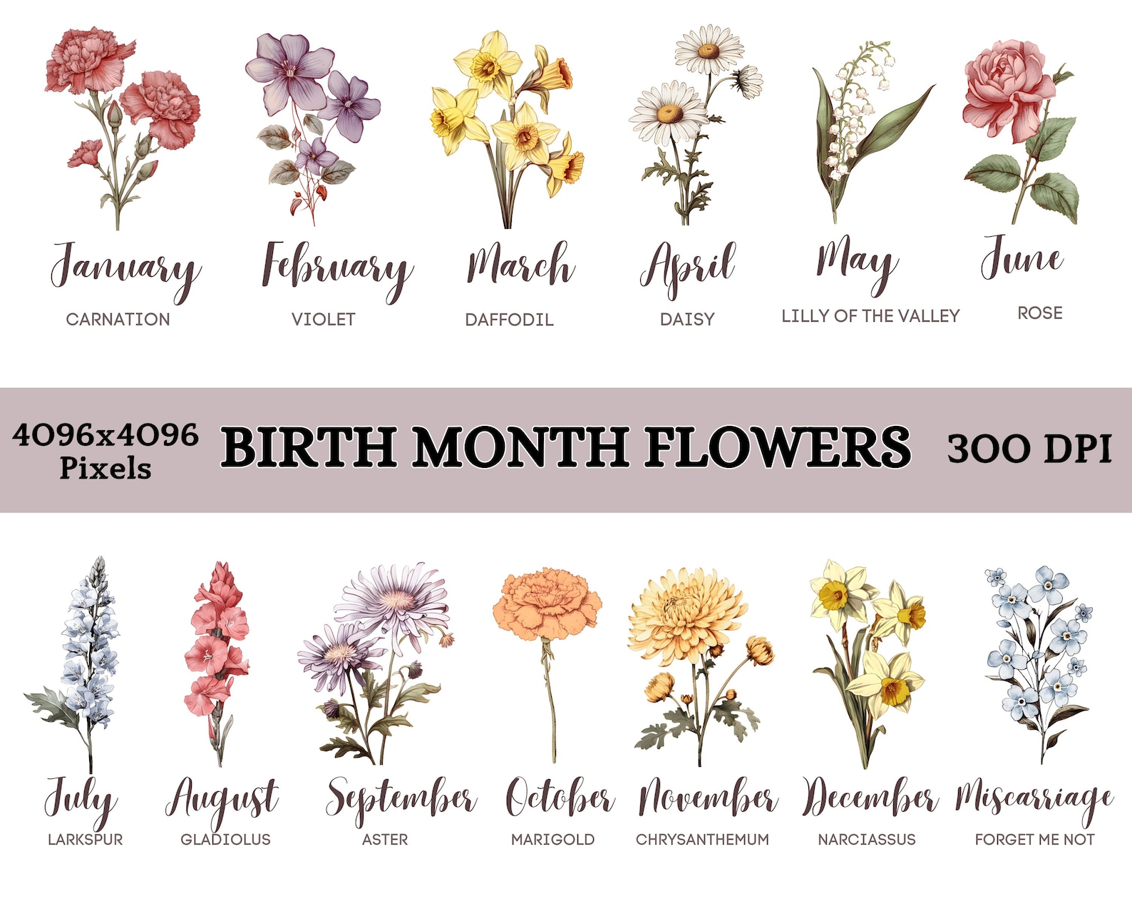 Birth Flower Clipart, DIY Birth Month Flower PNG Antique Floral PNG ...