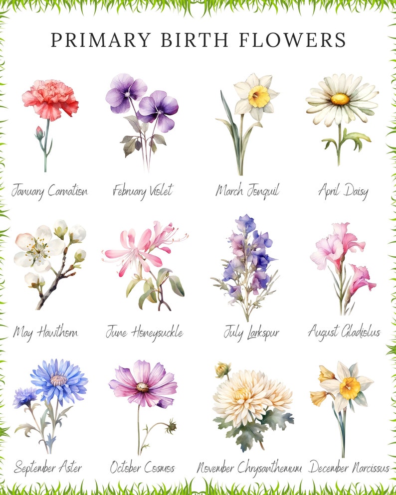 Birth Month Flower Digital Print, Birth Flowers Clipart Bundle ...