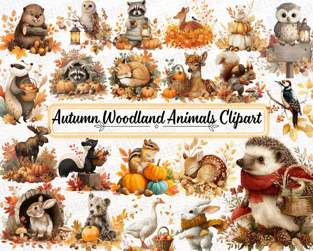 Autumn Woodland Animals Clipart Fall Forest Creatures Art (digital ...