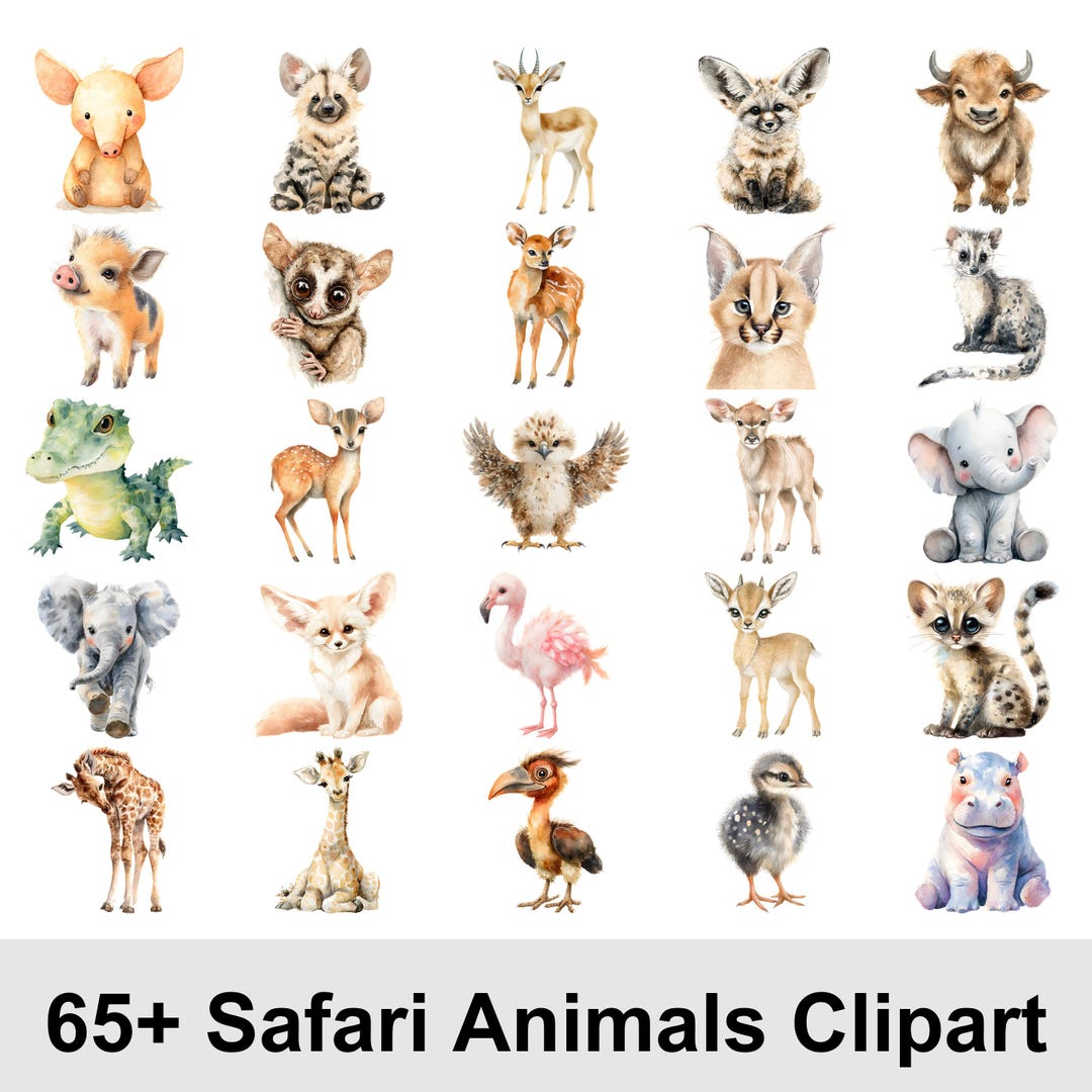 Safari Animals Clipart PNG Bundle | Watercolor Baby Safari Clipart for ...
