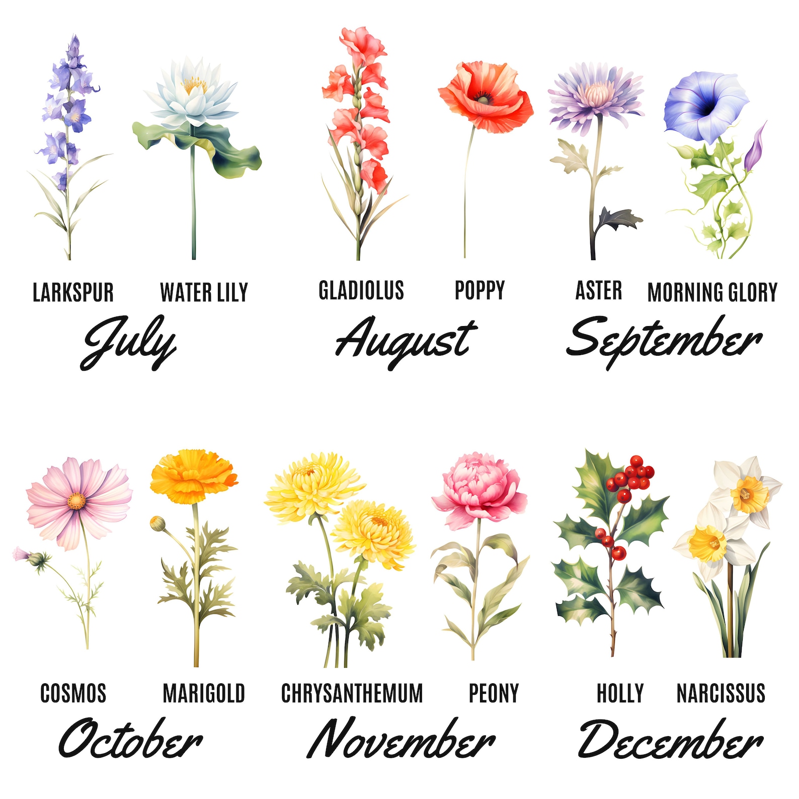 Birth Month Flower Clipart, Wildflower Birth Flowers, Birthday Flower ...