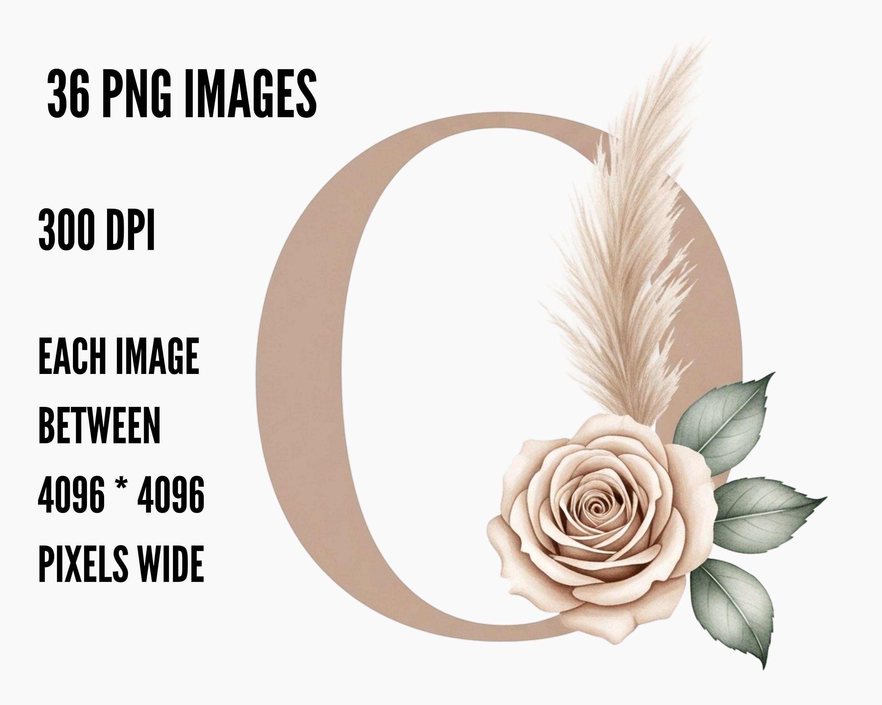 Boho Alphabet Clipart PNG, Floral Letters and Numbers, Printable ...