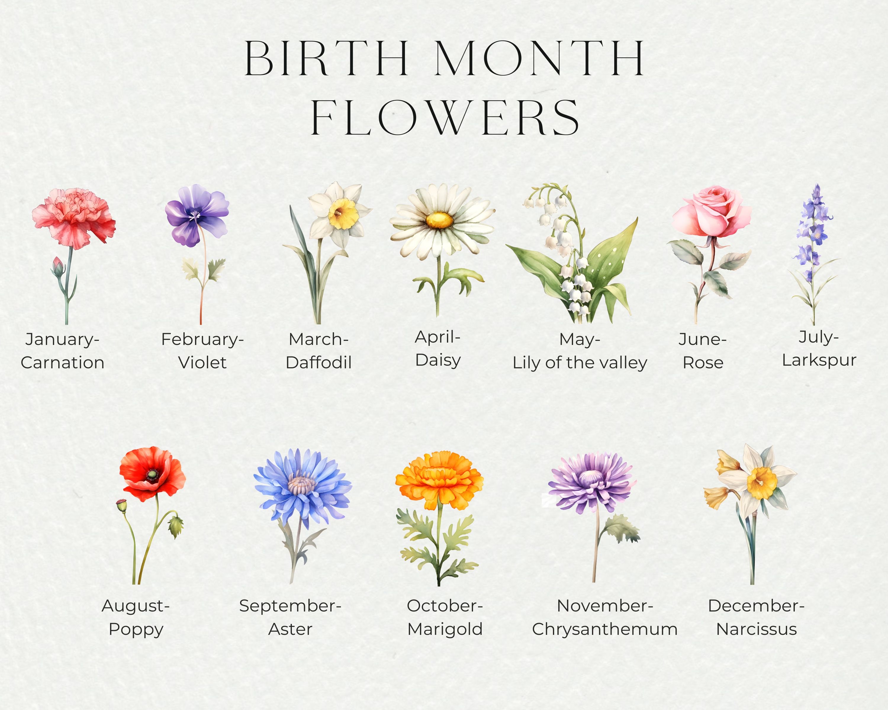 Birth Month Flower Clipart, Birth Flower Butterfly Clipart, Floral ...