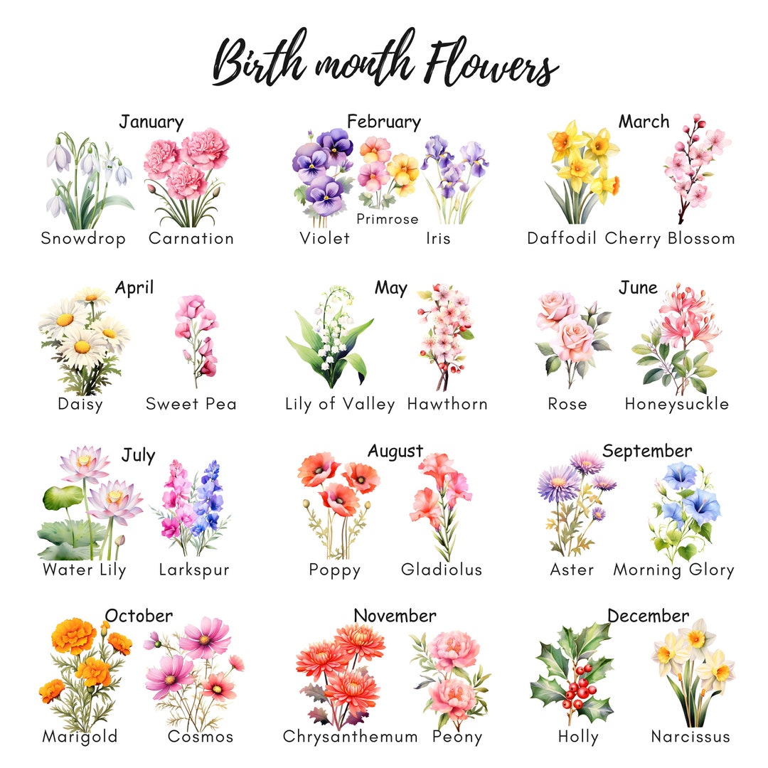 Birth Month Flower Digital Print, Birth Flowers Clipart, Personalized ...