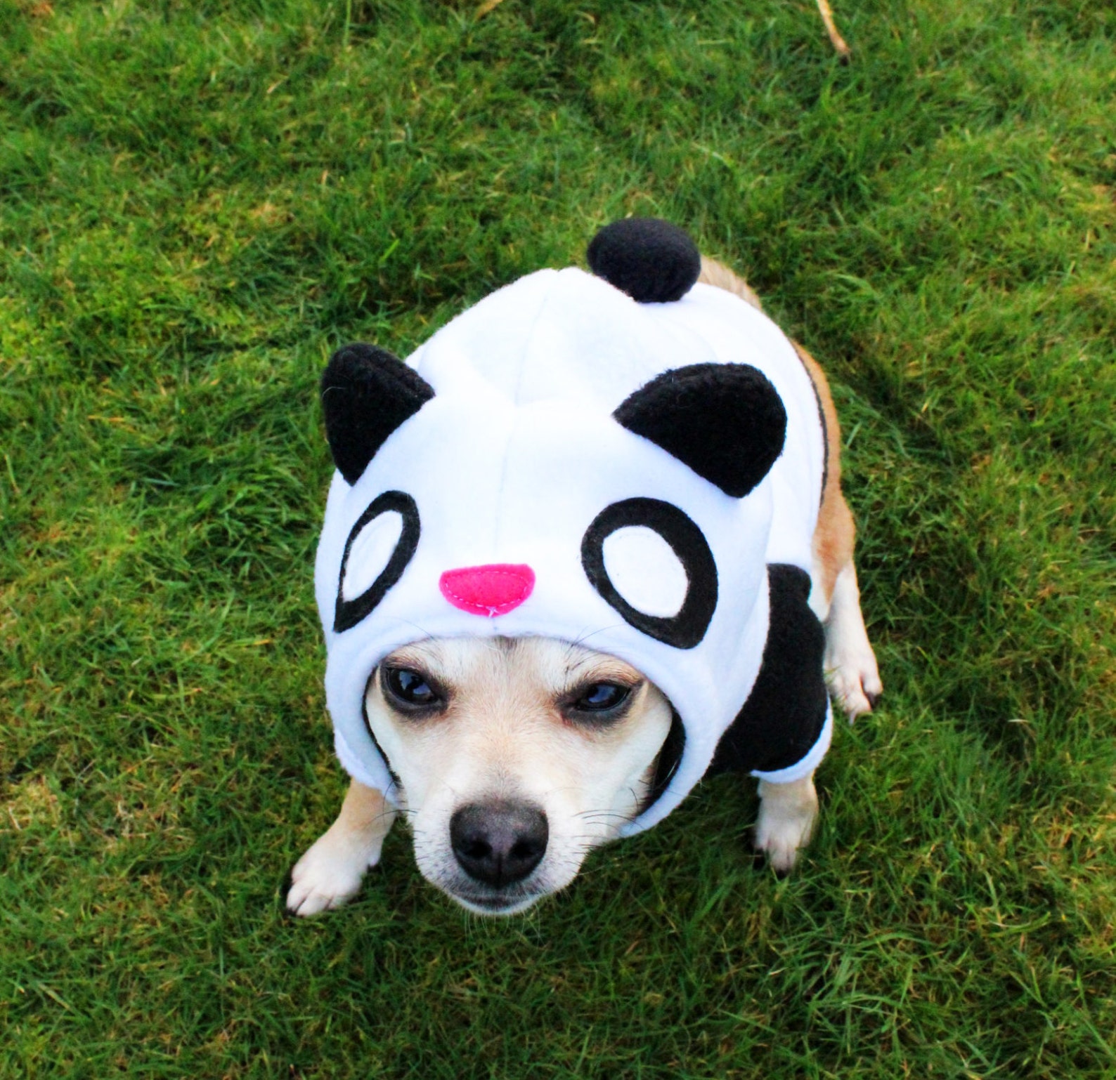Perro Panda oso sudadera con capucha traje MED-XL Pdf patrón y - Etsy ...