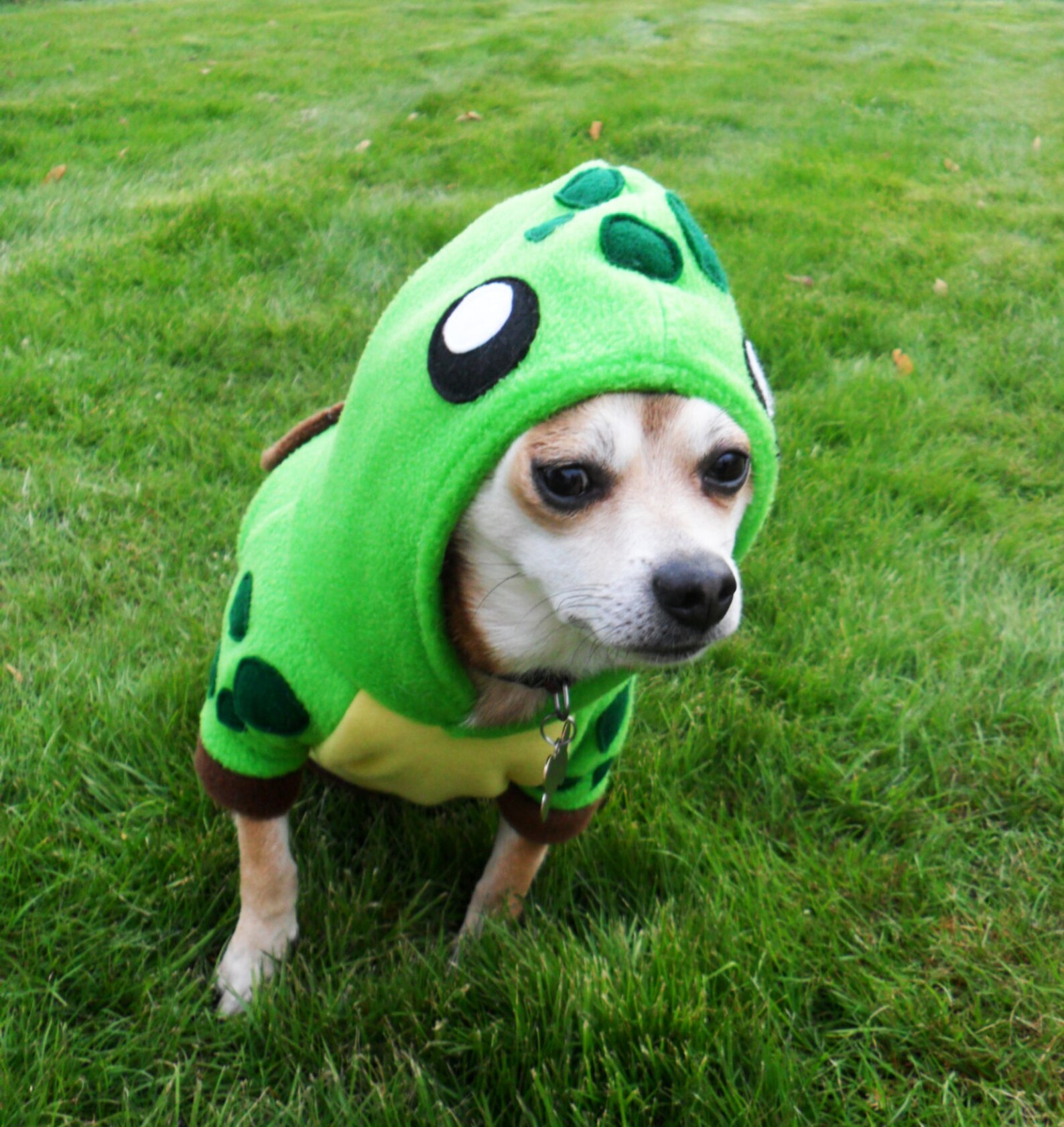 Dog Turtle Hoodie Costume XS - MED Pdf Pattern and Full Tutorial - Etsy