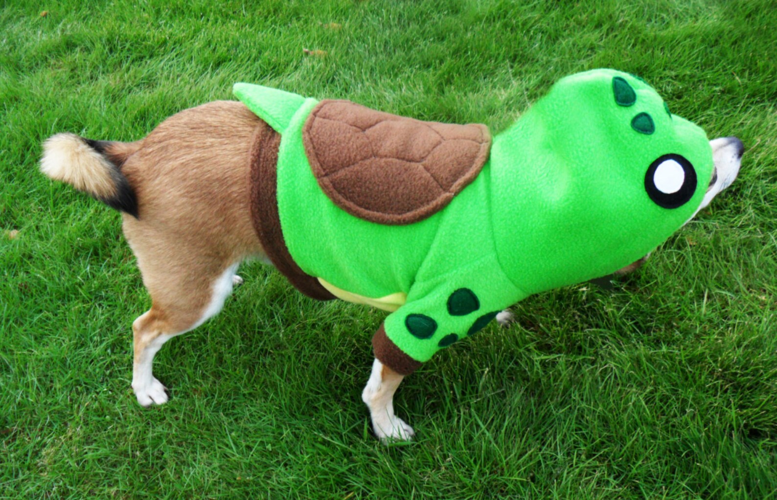 Dog Turtle Hoodie Costume XS - MED Pdf Pattern and Full Tutorial - Etsy