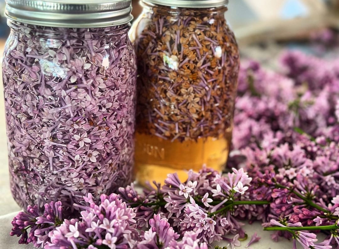 Natural Lilac Tincture - Etsy